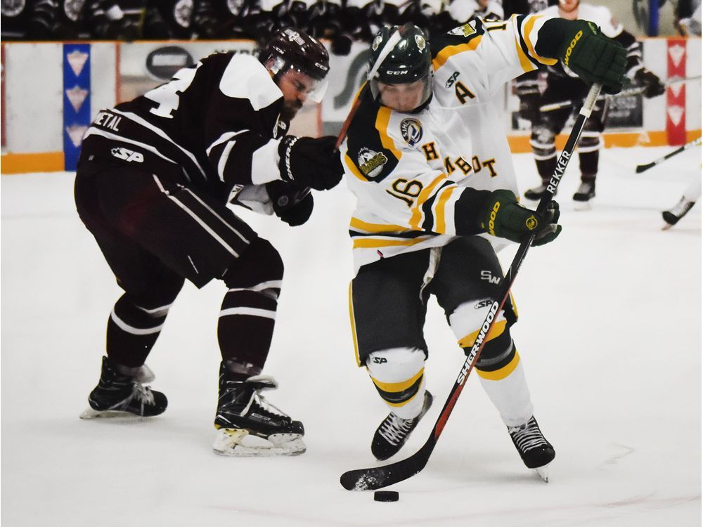 Pucks and needles: Diabetes no barrier for SJHL veteran Kaleb Dahlgren ...