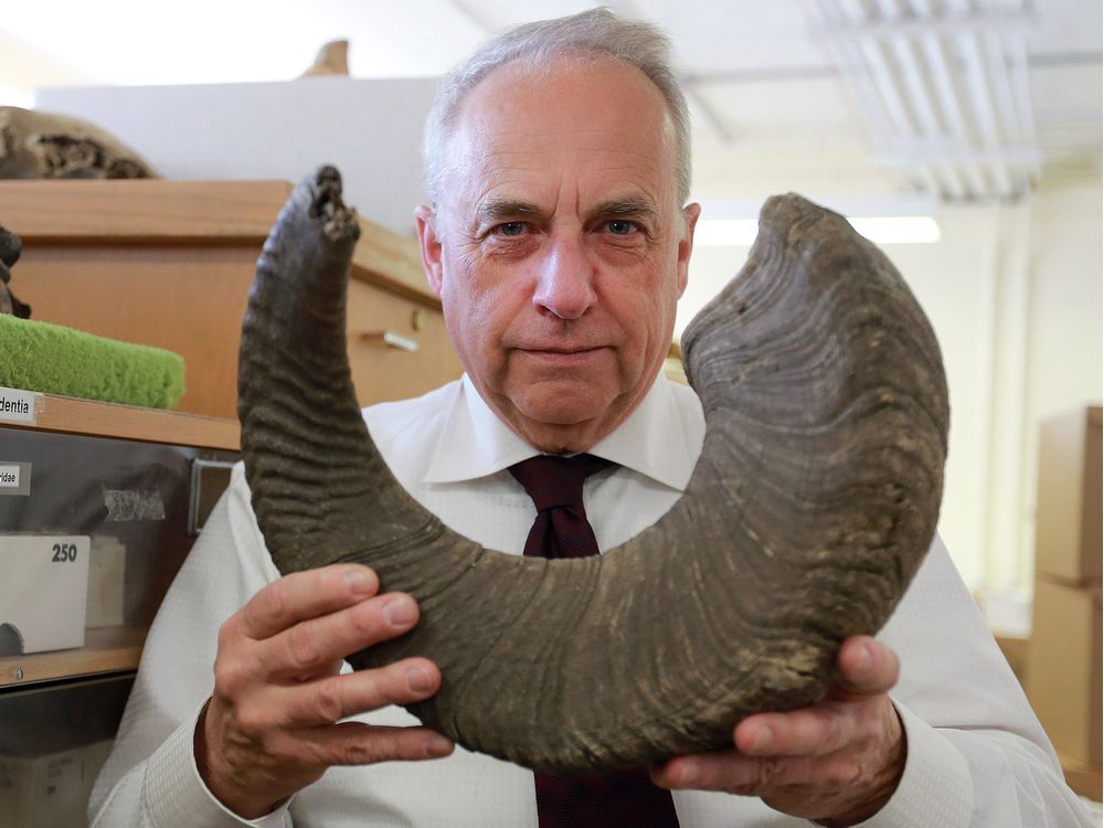 Bridges cover: Ernie Walker leads an eclectic, industrious life | The ...