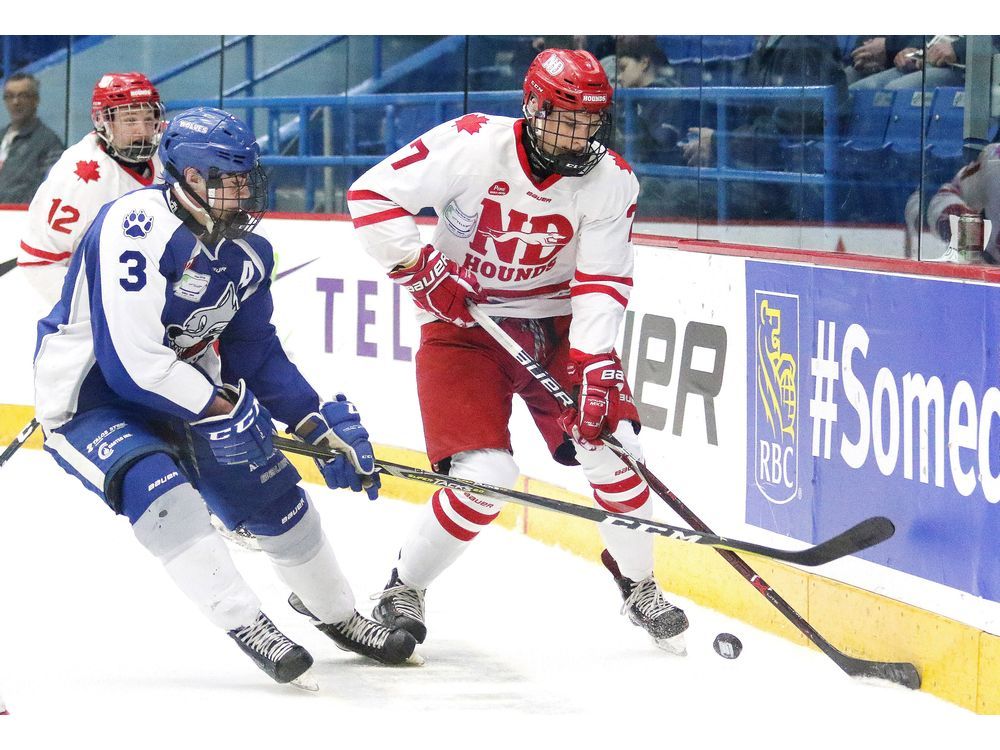 Notre Dame Hounds win the Telus Cup | The Star Phoenix