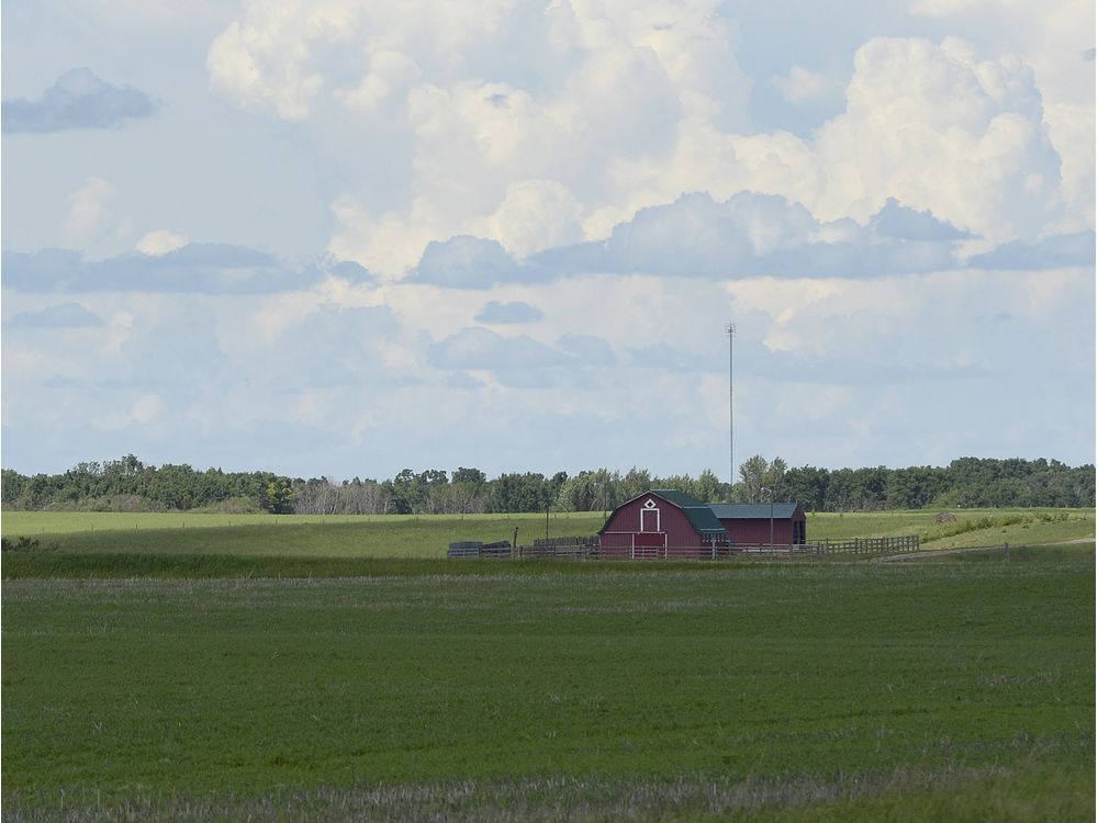 StarPhoenix Saskatchewan Agriculture By the Numbers May 30, 2018 | The ...