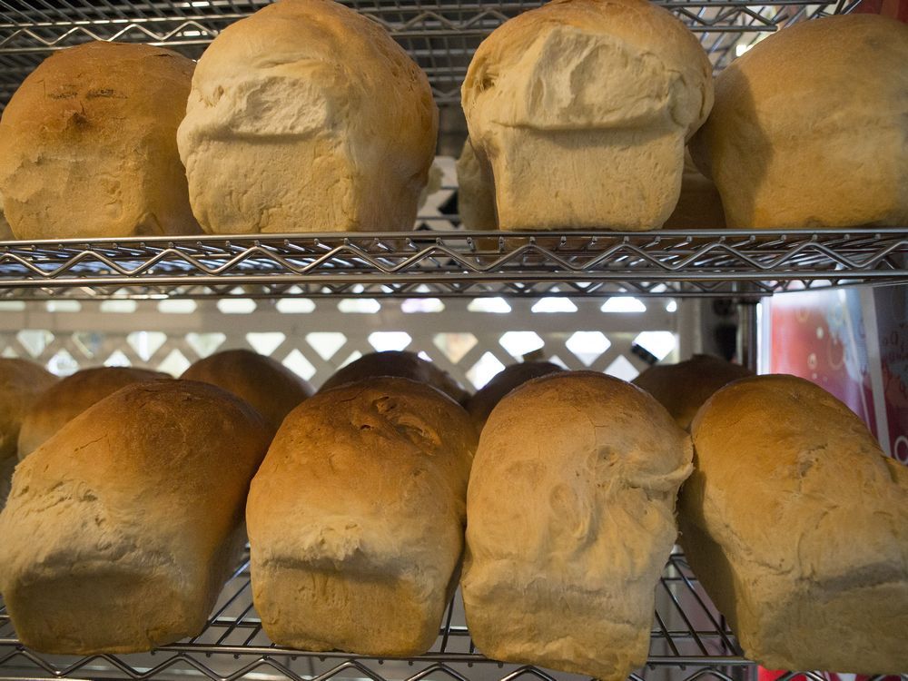 A taste of Doukhobor history at the Saskatoon Ex | The Star Phoenix