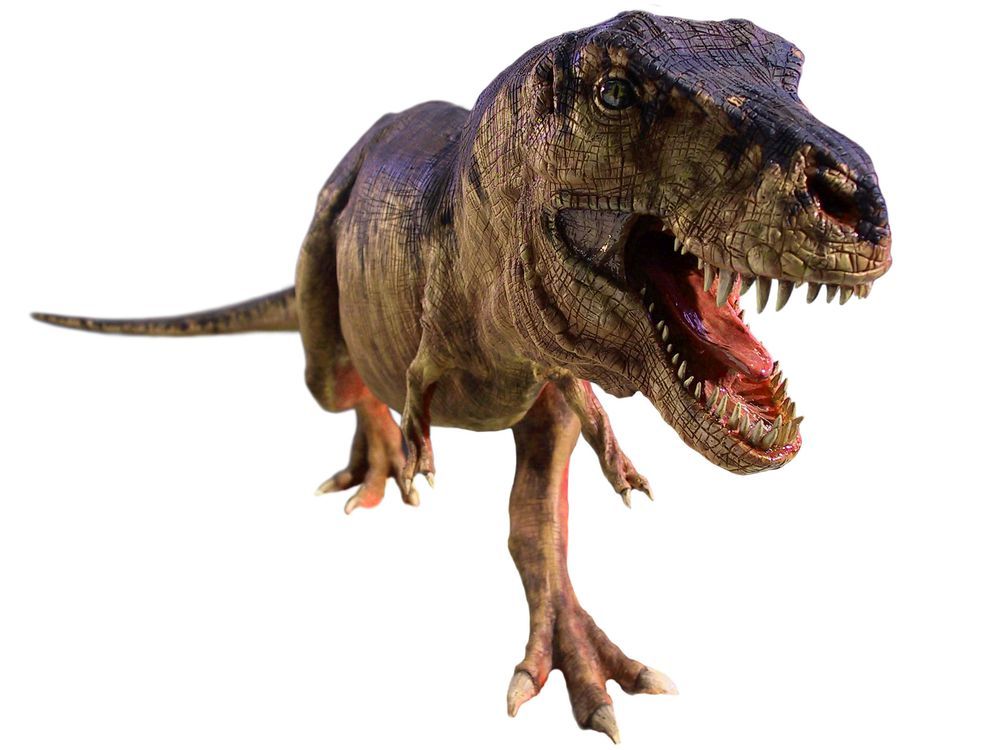 Saskatchewan's provincial fossil — Scotty — gets down and dirty | The ...