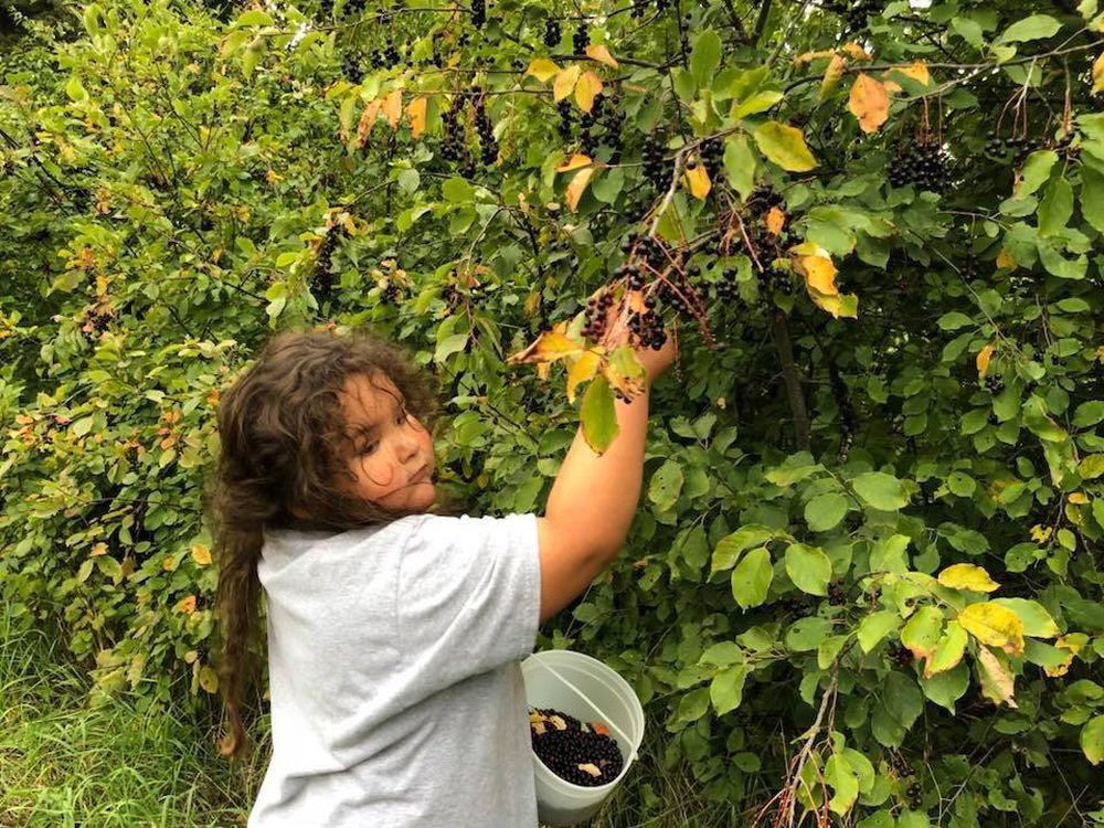 ’In our bloodline:’ Land-based learning links curriculum with ...