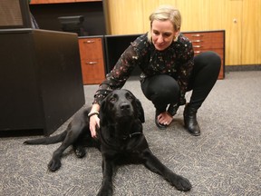 Courthouse pup first emotional support dog used in Saskatoon court ...
