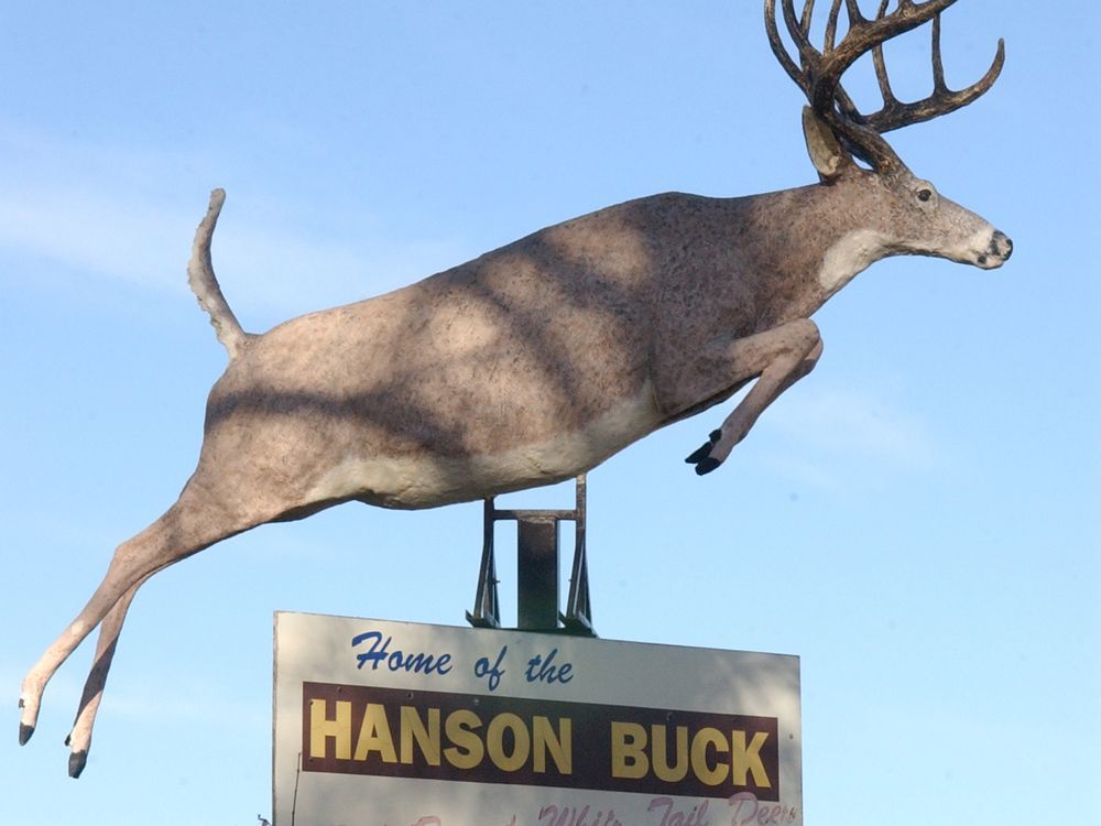 Sask. hunter bags world record mule deer | The Star Phoenix