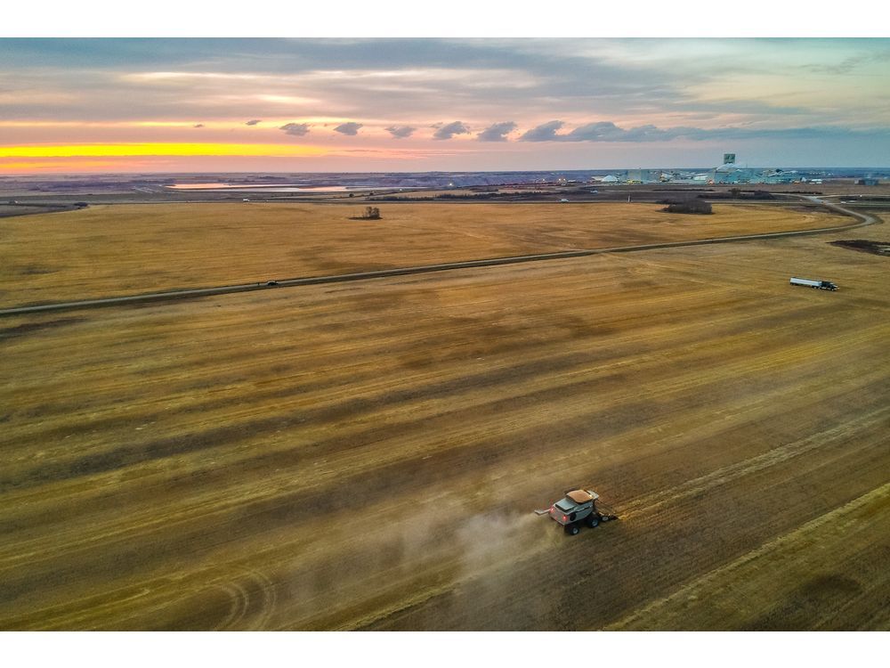 Warm, windy Thanksgiving weekend ahead for Sask.: Environment Canada ...