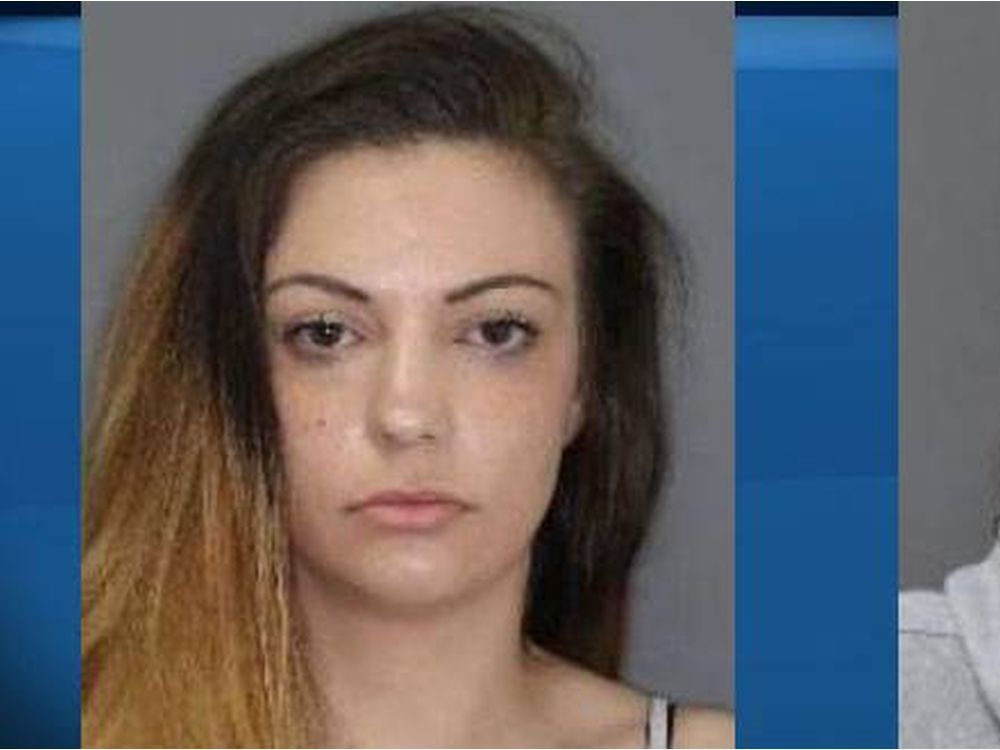 Mail thief gets one of the highest Sask. sentences for identity fraud ...