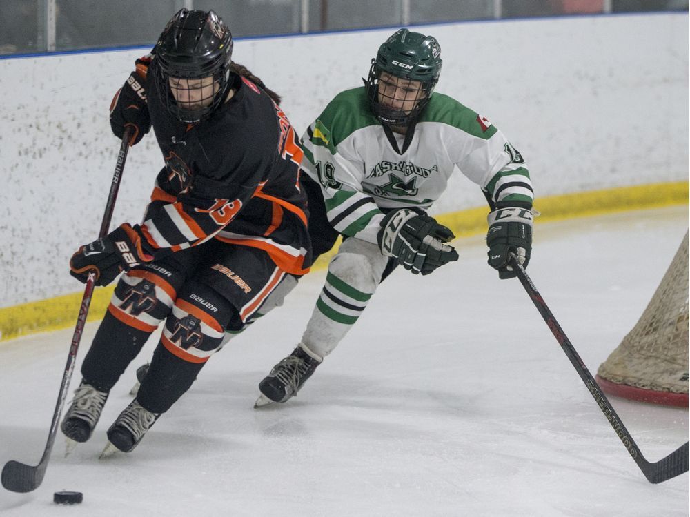 P.A. Northern Bears, Saskatoon Stars regroup after Esso Cup cancelled ...