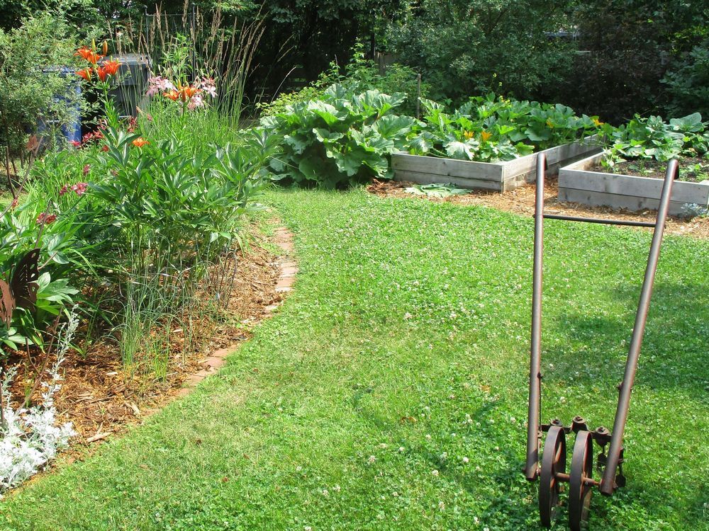 Gardening: To till or not to till | The Star Phoenix