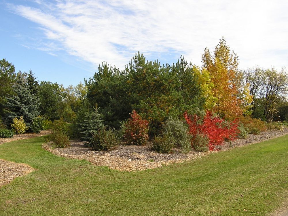 Celebrate Arbor Week: Five things to do in Saskatoon this weekend | The ...