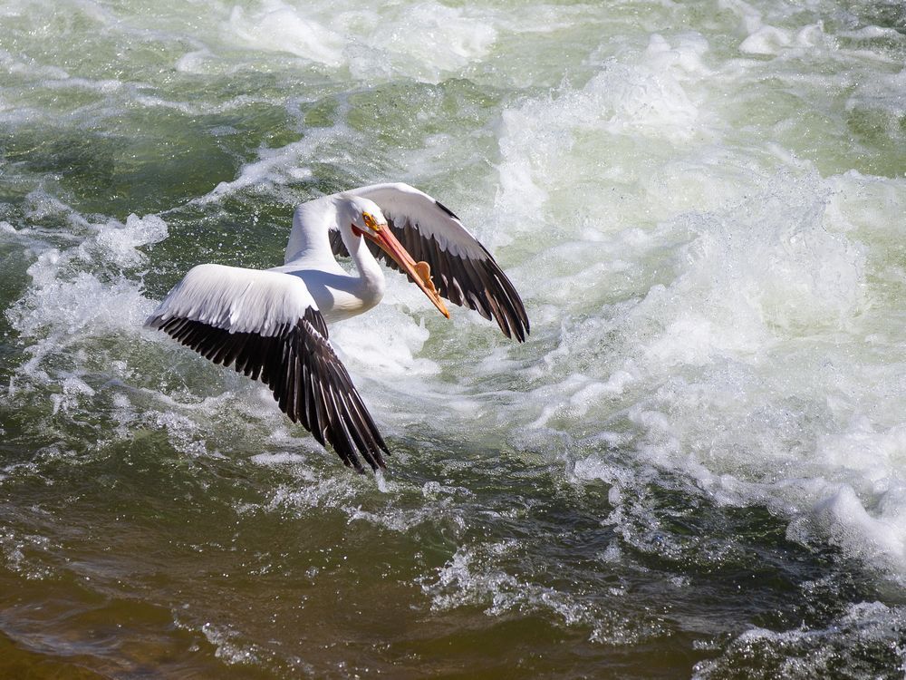 Watch for signs of spring: Five things to do this weekend in Saskatoon ...