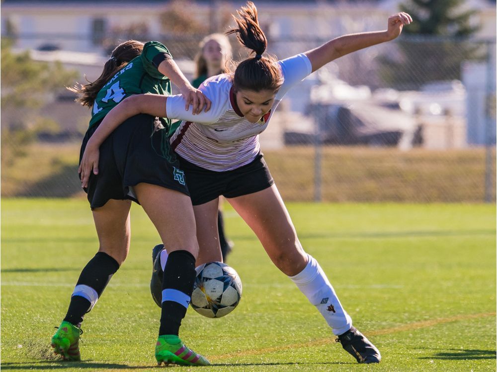 Back in the game: Sask. sports teams happy with May 30 start date | The ...