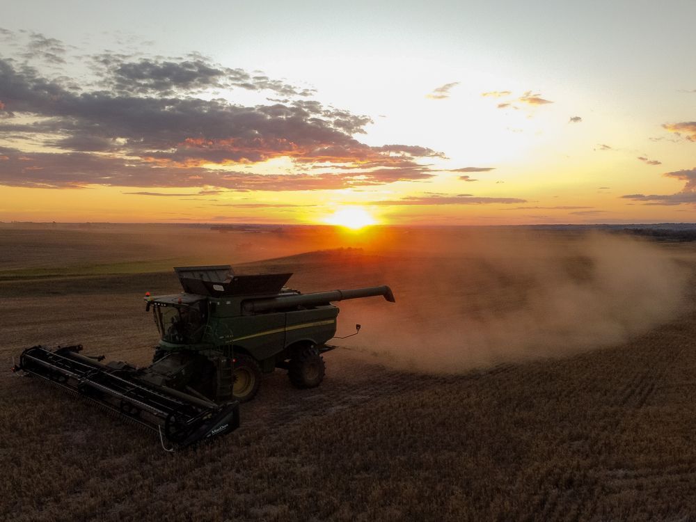 Putting hope in the ground: Sask. farmer focuses on one crop at a time ...