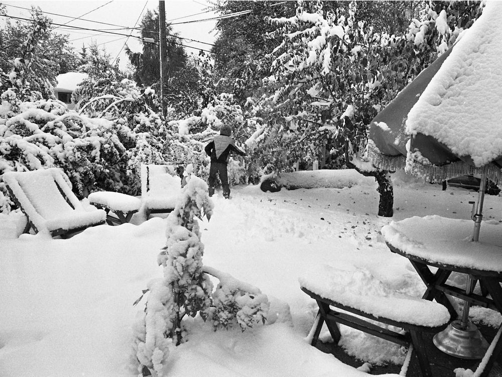 Throwback Thursday: Fall snowstorm | The Star Phoenix