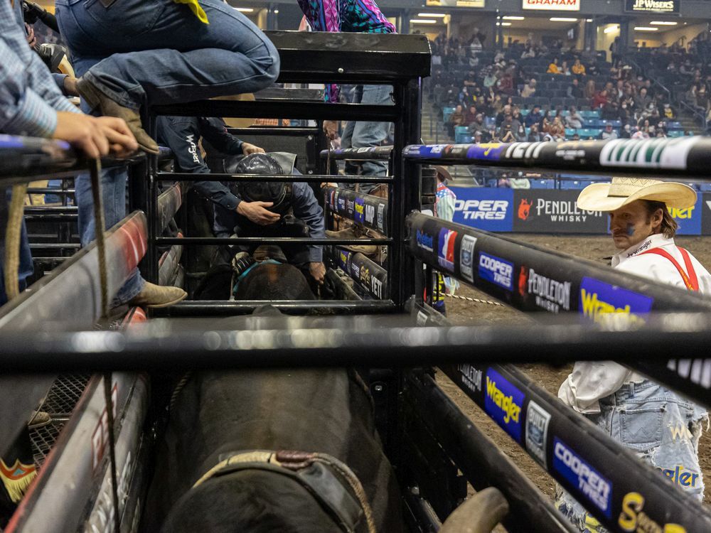 PHOTO GALLERY: Back in the saddle, PBR returns to Saskatoon | The Star ...