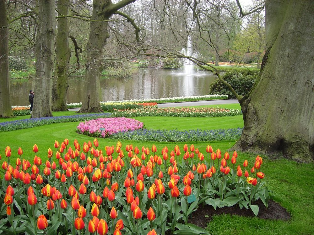 Gardening: A visit to a spring garden | The Star Phoenix