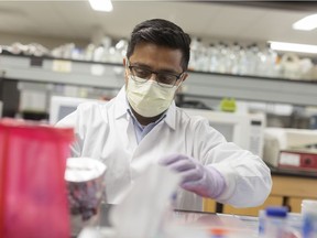 Previous infection poor protection against Omicron: U of S study | The ...