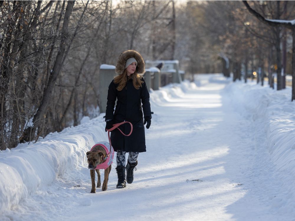 Meewasin Trail usage up again in 2021 | The Star Phoenix