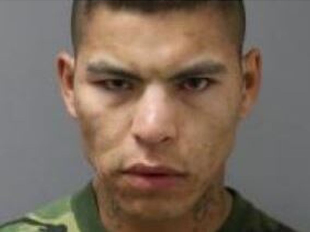 Confederation mall suspect wanted on assault, confinement charges | The ...