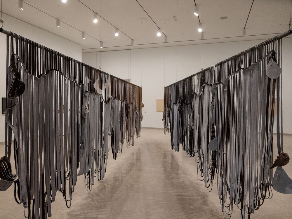 Remai Modern and 25 artists explore the Great Plains | The Star Phoenix