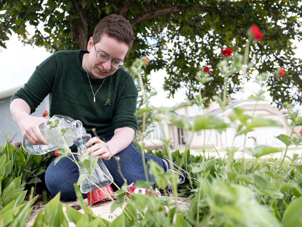 StarPhoenix journalist nominated for national award | The Star Phoenix