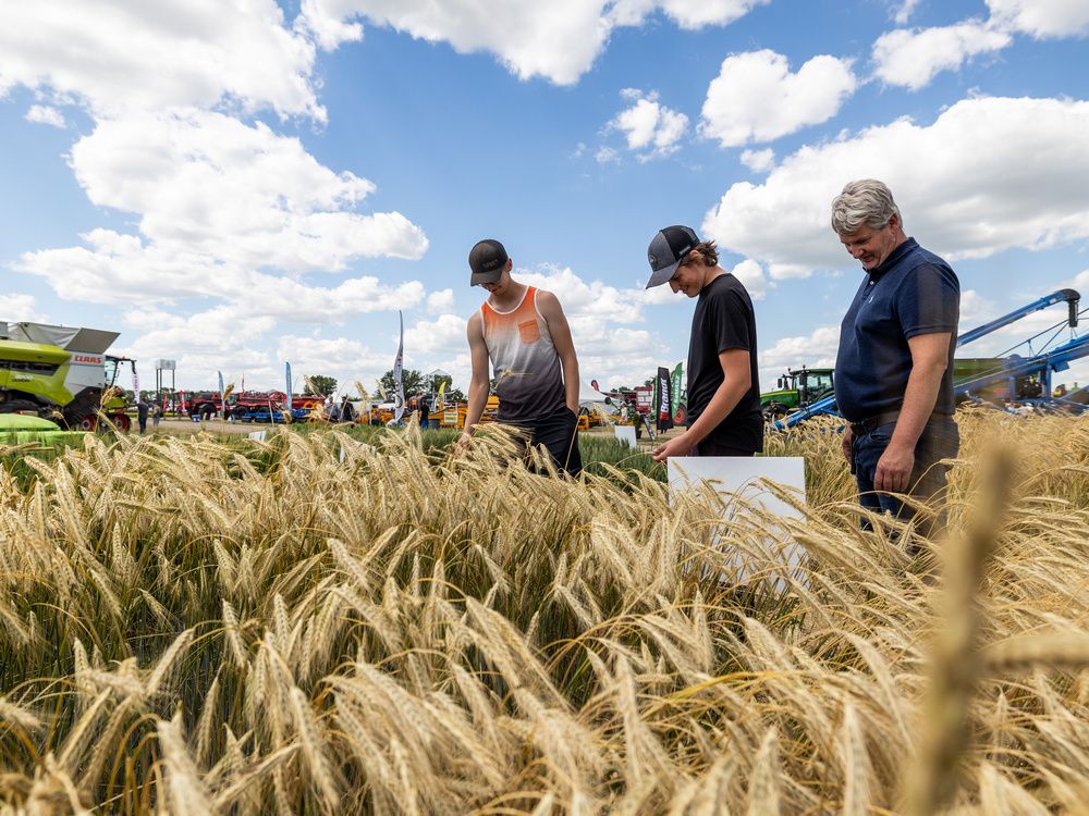 In photos: Ag in Motion back in action | The Star Phoenix