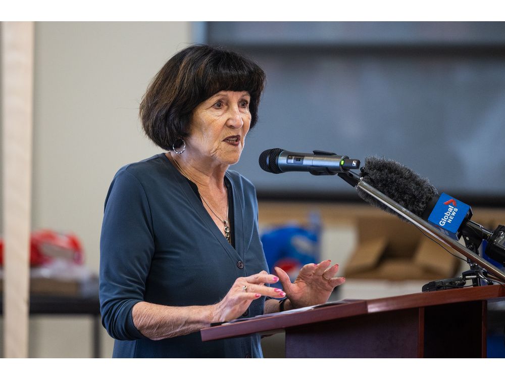 Data from Saskatoon homelessness count offers further insight ...