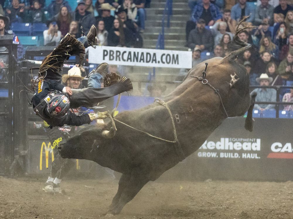 Sport Briefs: Saskatoon hosts final PBR Canada Cup Series event | The ...