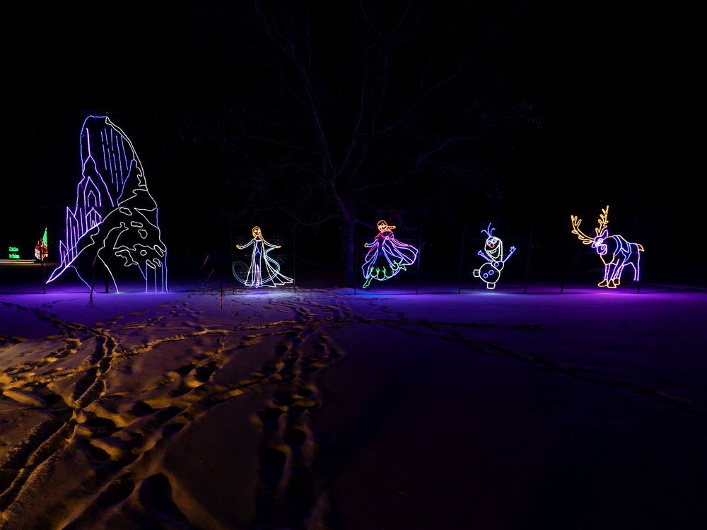 BHP Enchanted Forest opens Nov. 18 with return of light walk | The Star ...