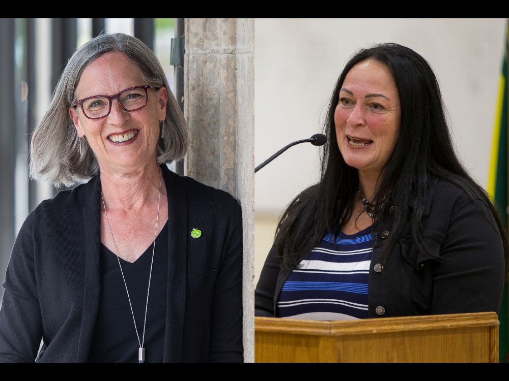 Diane Boyko, Colleen MacPherson re-elected to head school boards | The ...