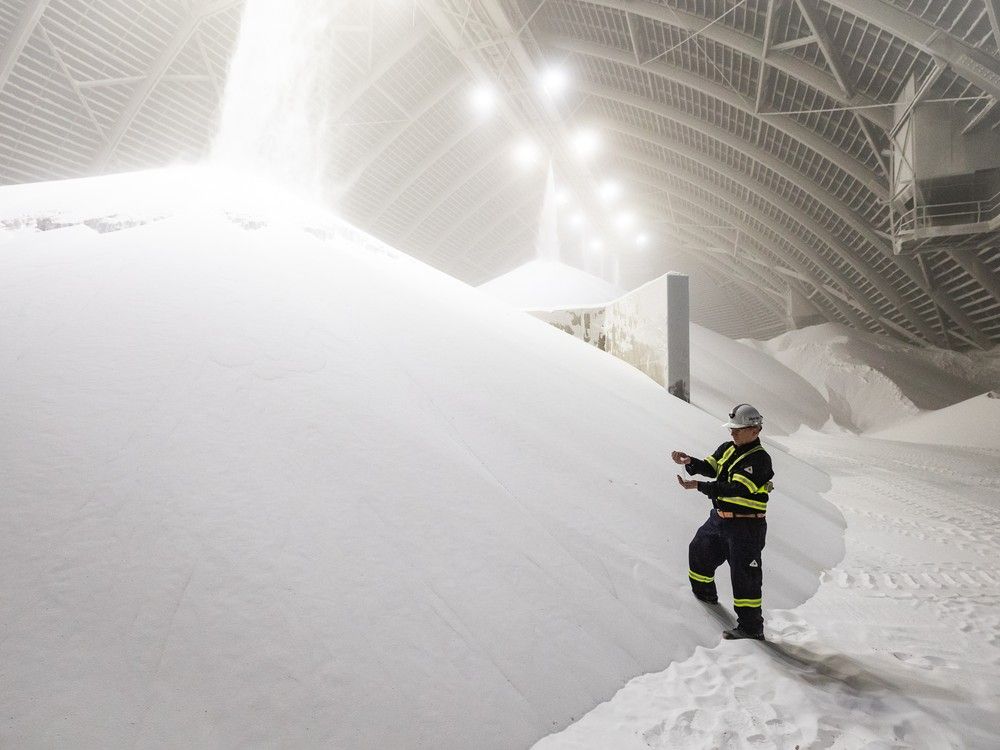 Tour of Nutrien sites shows challenge, complexity of coming expansion ...