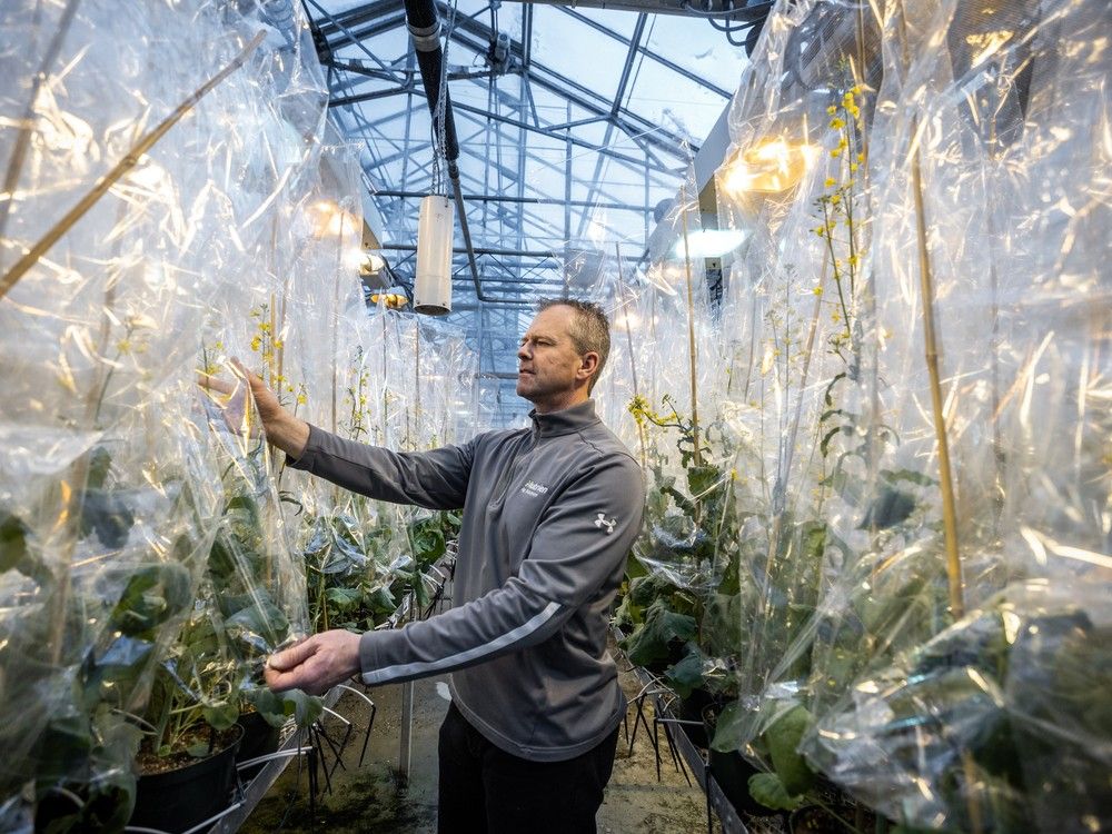 Tour of Nutrien sites shows challenge, complexity of coming expansion ...