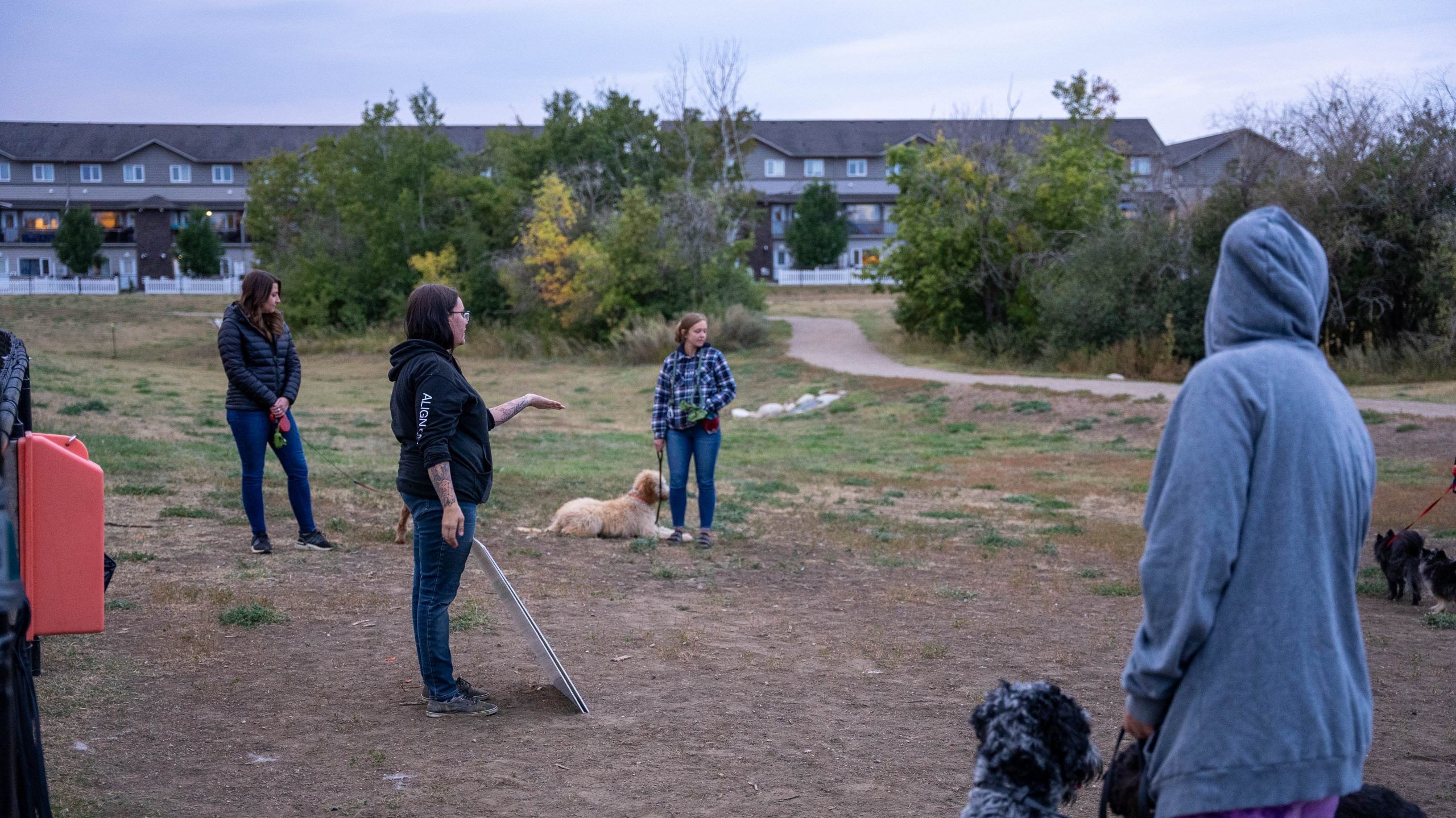 Responsible pet ownership a priority for City of Saskatoon Animal ...