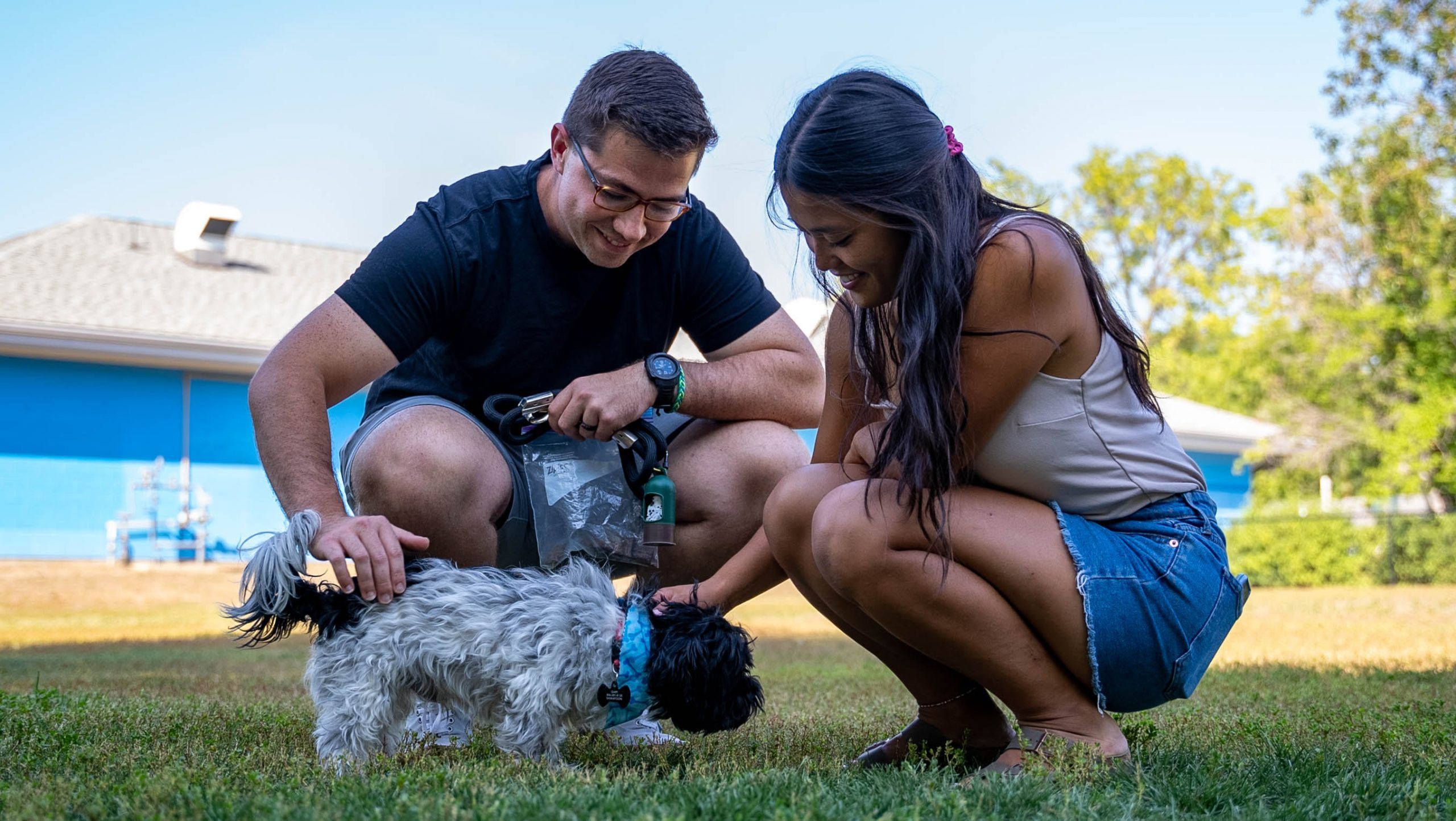 Responsible pet ownership a priority for City of Saskatoon Animal ...