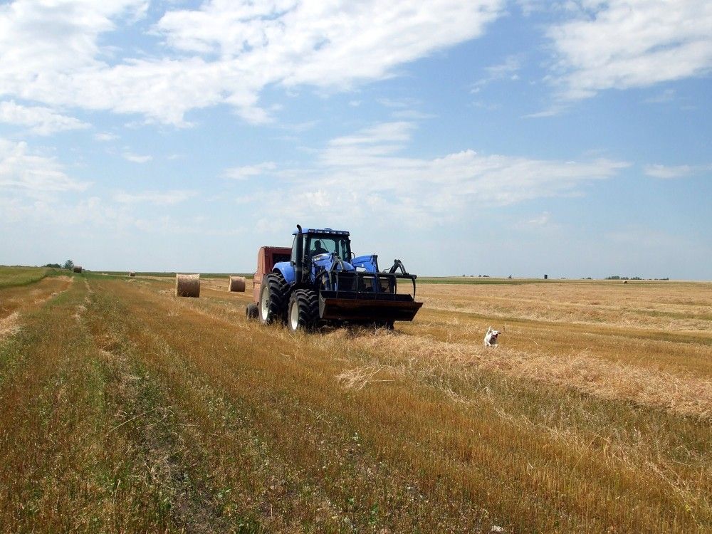 Doug Cuthand: First Nations people struggled under farming treaties ...