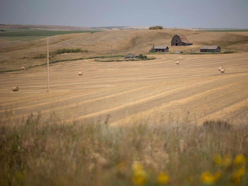 Harvest progressing throughout Saskatchewan: Crop report | The Star Phoenix