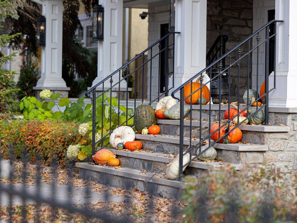 Saskatoon weather: A windy Halloween | The Star Phoenix