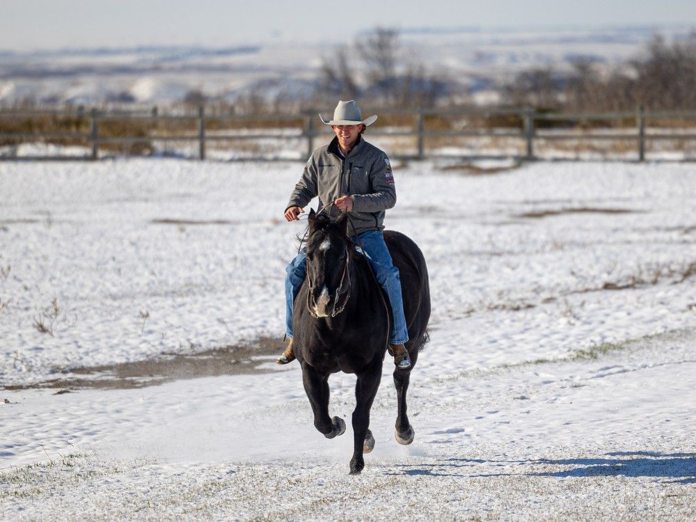Bull riding a life-long love for Saskatchewan's Weston Davidson | The ...