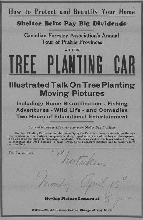 New book delves into the history of tree planting on the Prairies | The ...