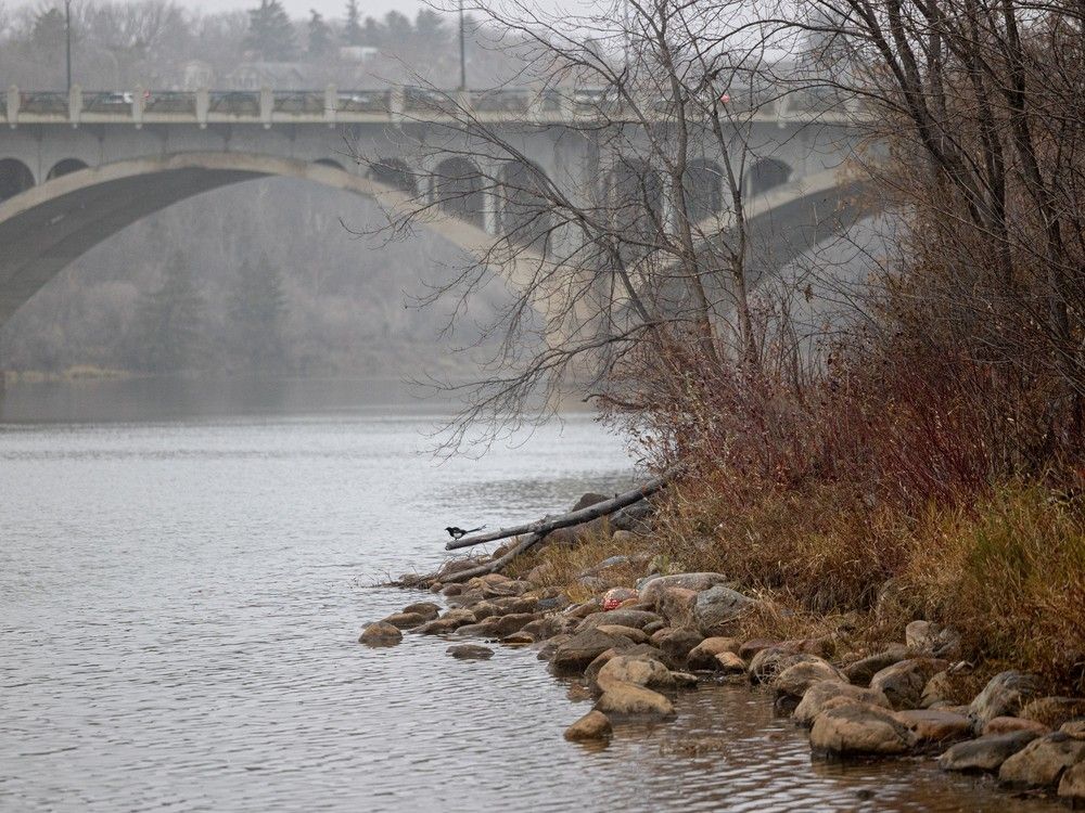 Saskatoon weather: Another sunny November day | The Star Phoenix