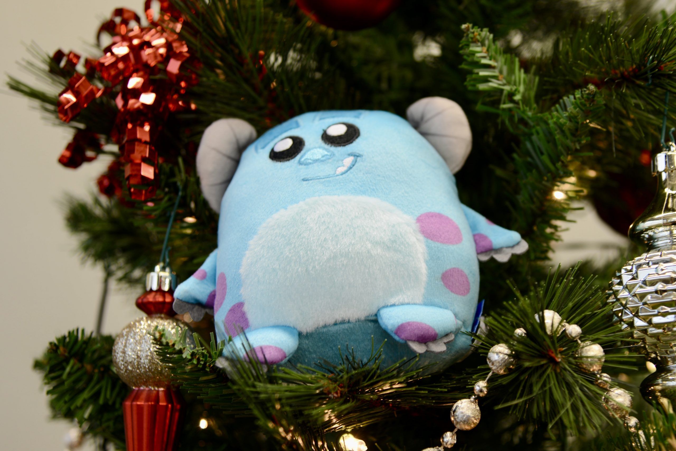 StarPhoenix annual Plush Bear program brings the smiles! | The Star Phoenix