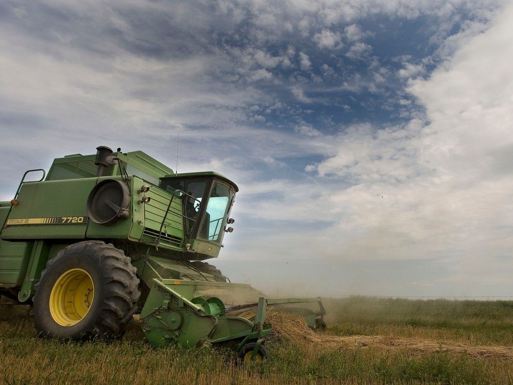 From rain to shine: Sask. farms see the effects of dramatic weather ...