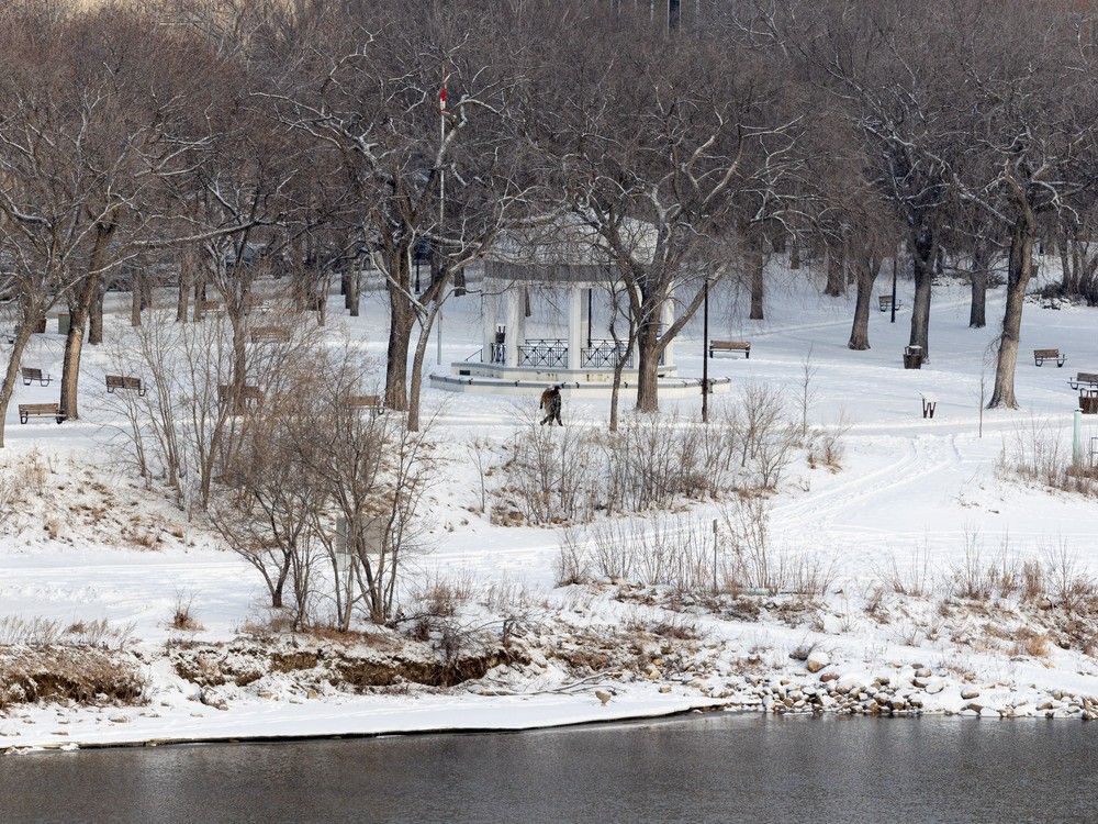 Saskatoon weather: A sunny, warm February day, high -2 | The Star Phoenix