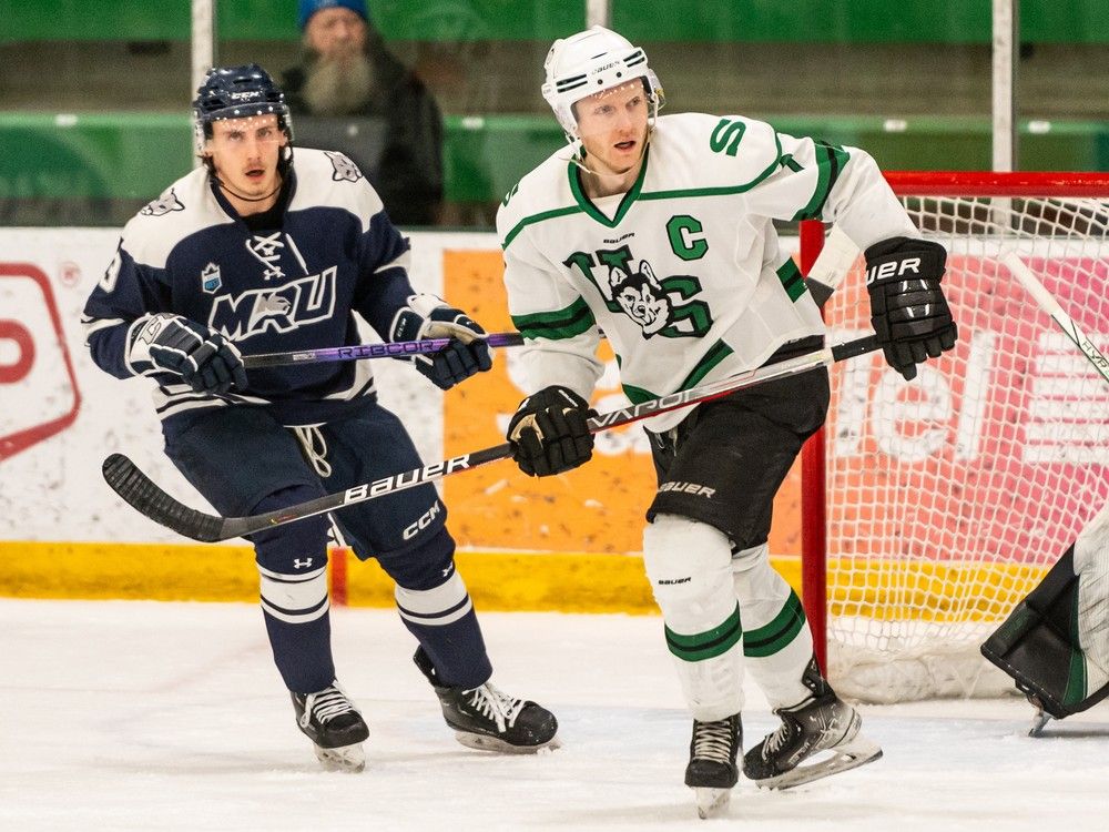 'A rarity': Sask. OHLer, future lawyer Shane Collins a Huskies holdover ...