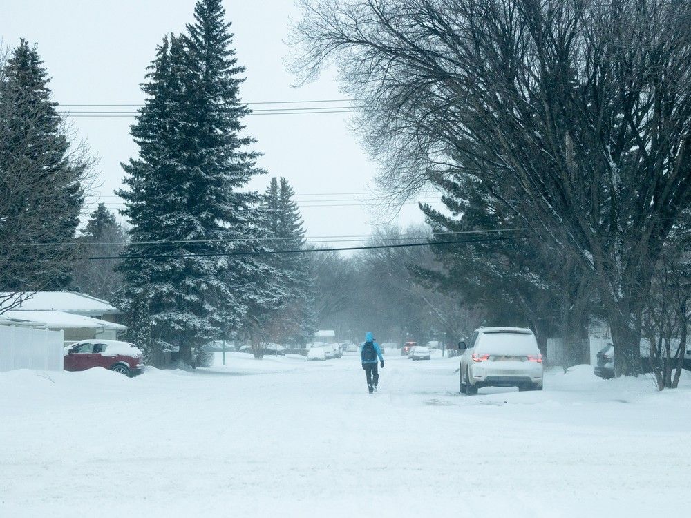 Saskatoon weather: Snowy and windy, storm watch for the weekend | The ...