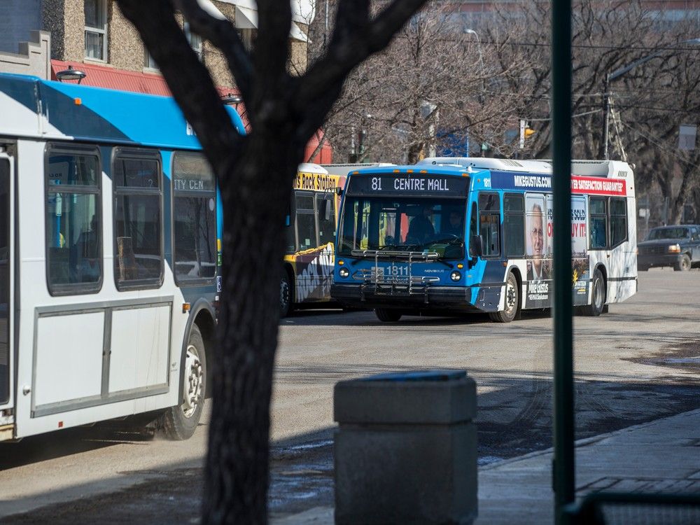 Woman charged after violent disturbance on Saskatoon city bus | The ...