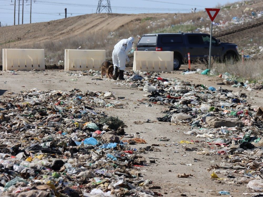 Success of Saskatoon landfill search inspires hope in Manitoba | The ...