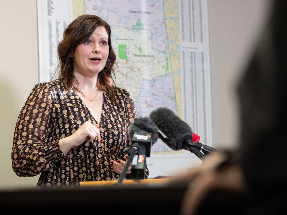 NDP wants investigator appointed, testimony heard into gun allegations ...