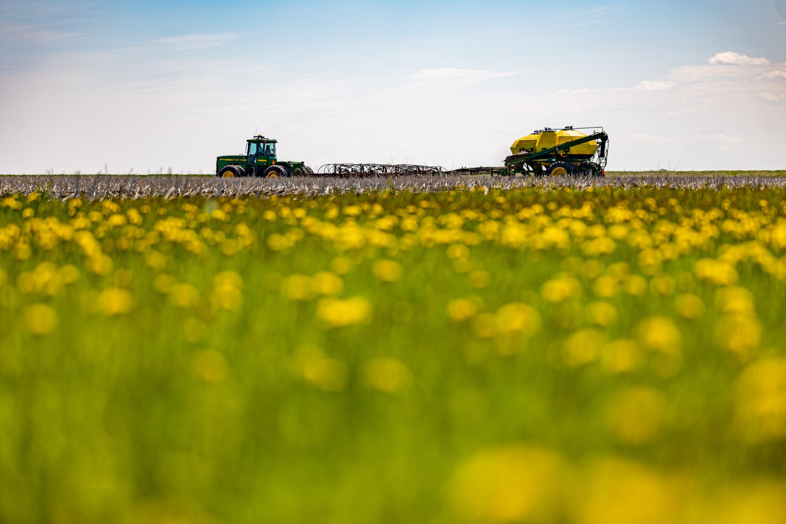"Severe hail" damages farms and fields across Saskatchewan | The Star ...