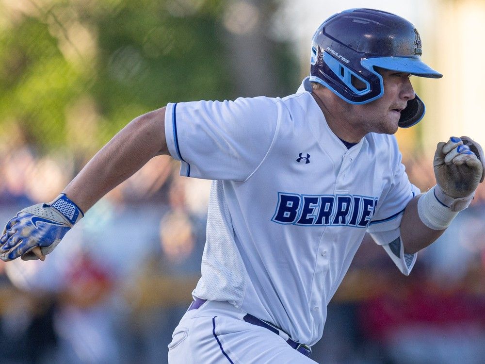 Cory Wouters fills a lot of roles for his local Saskatoon Berries | The ...